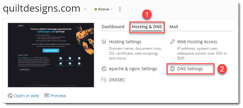 How to update DNS records in Plesk – Help Center